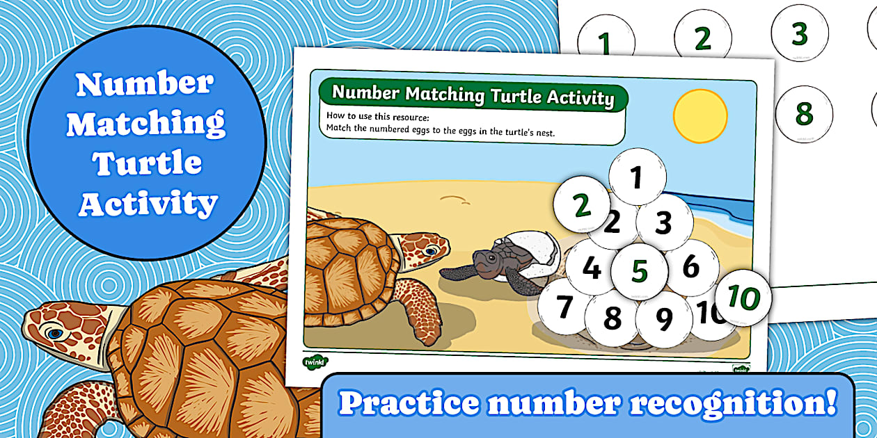 👉 Number Matching Turtle Activity