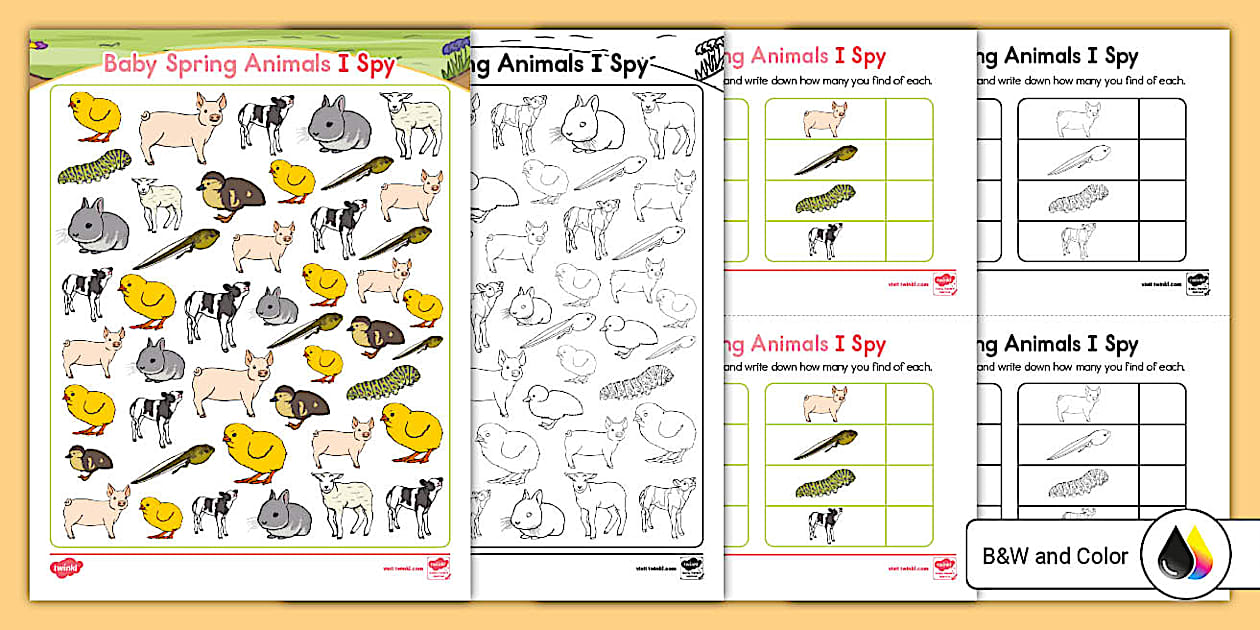 Baby Spring Animals I Spy Activity (teacher made) - Twinkl