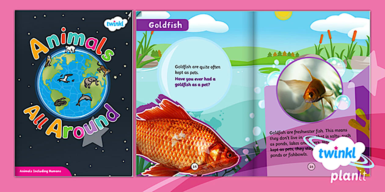 Animals Kids’ Book | Animals All Around | Year 1 Science