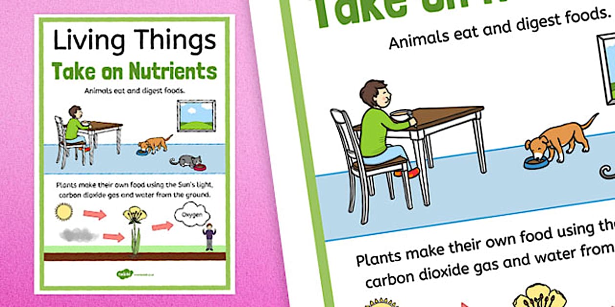 Black and White Living Things Take on Nutrients Display Poster