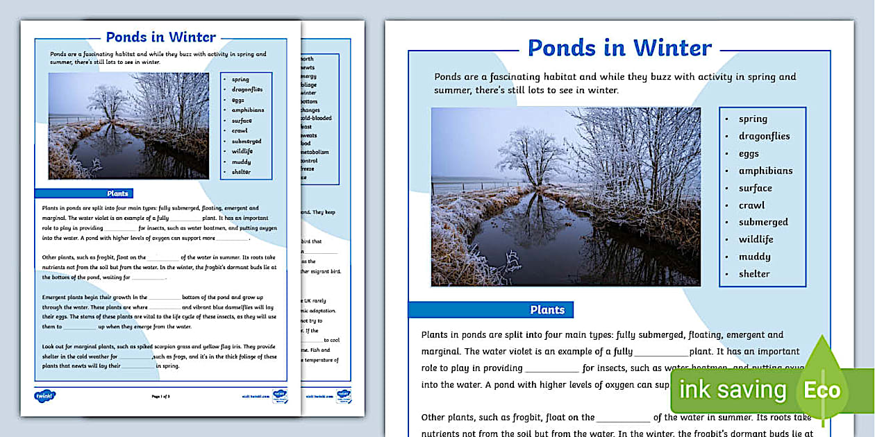 Winter Pond Habitat Worksheet (teacher made) - Twinkl