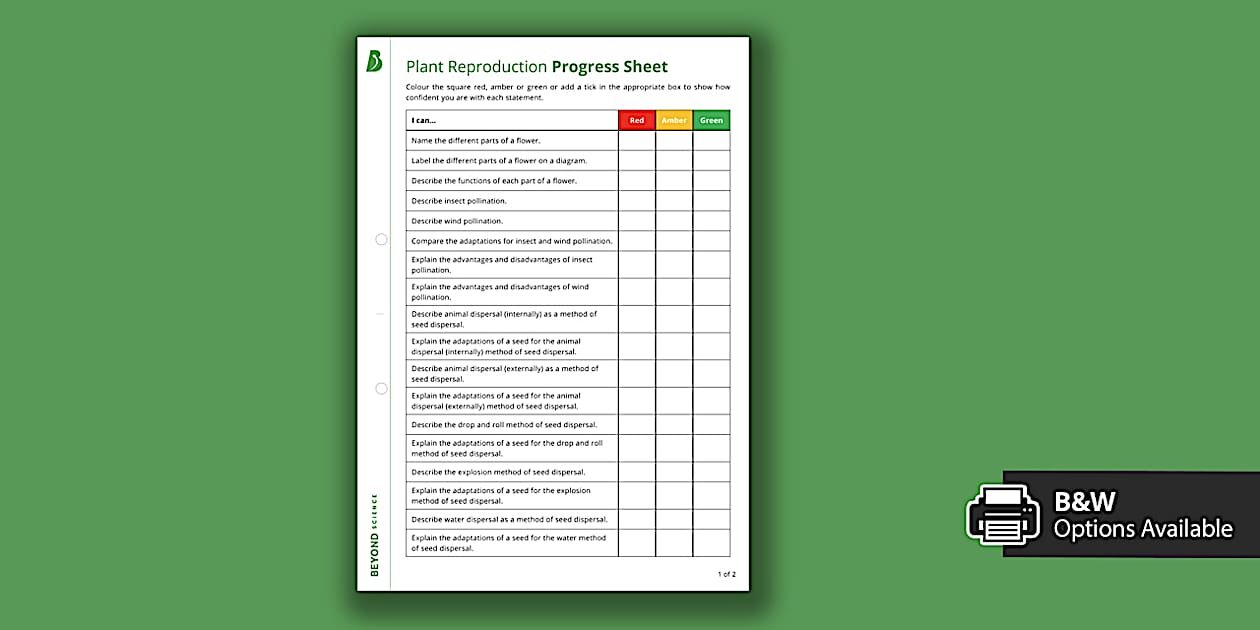 KS3 Plant Reproduction Progress Sheet - Twinkl