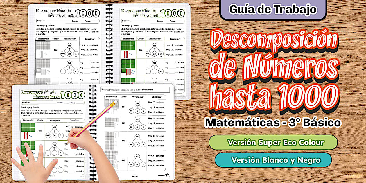 Guía de Trabajo | Descomposición | Números hasta 1000 | 3º