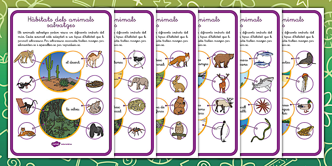 Pòsters: Els hàbitats dels animals salvatges - Català