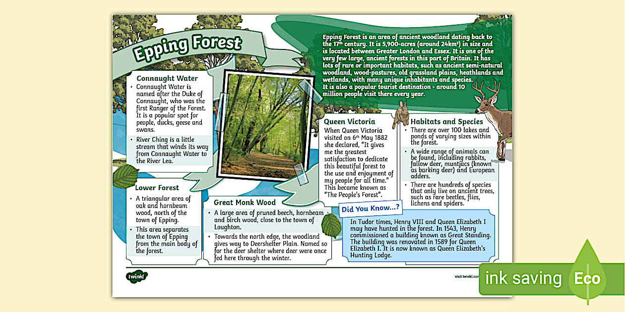 Epping Forest Fact File (Lehrer gemacht) - Twinkl
