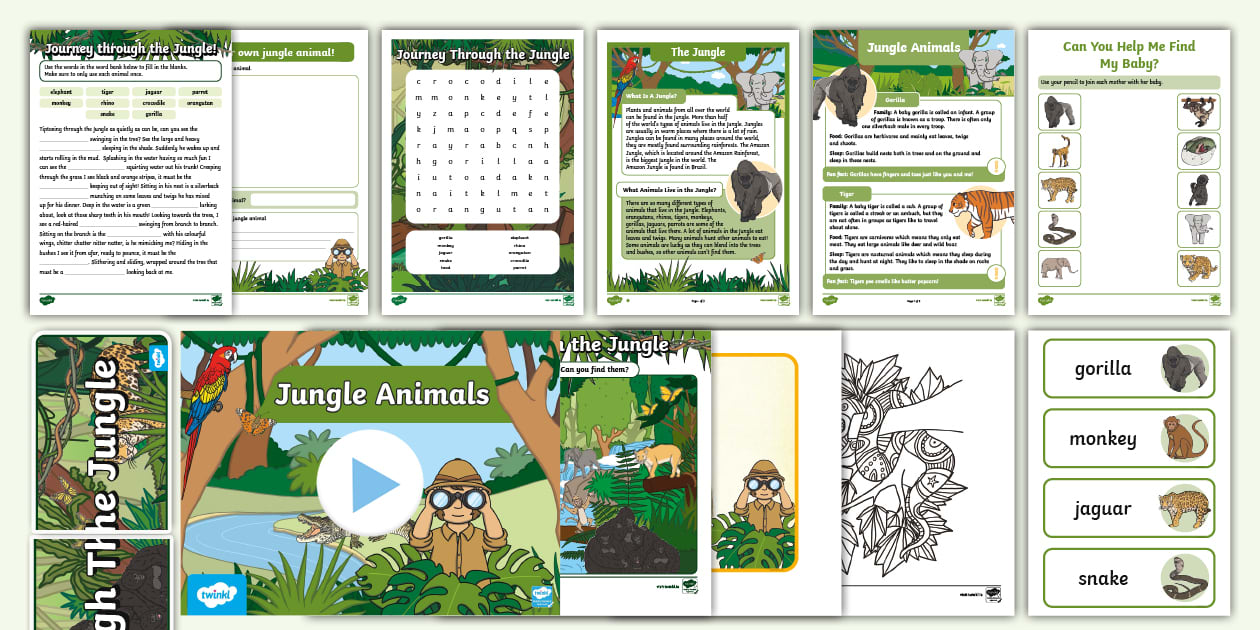 Jungle Journey Resource Pack (teacher made) - Twinkl