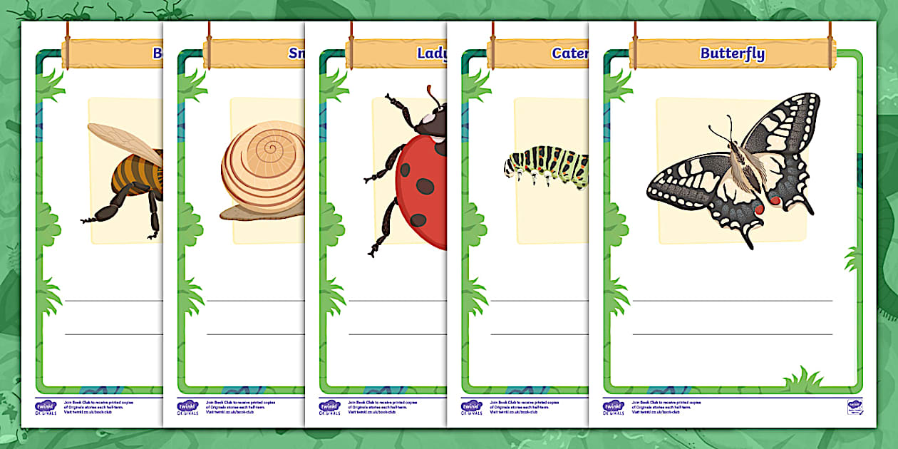EYFS Simple Minibeasts Writing Frames