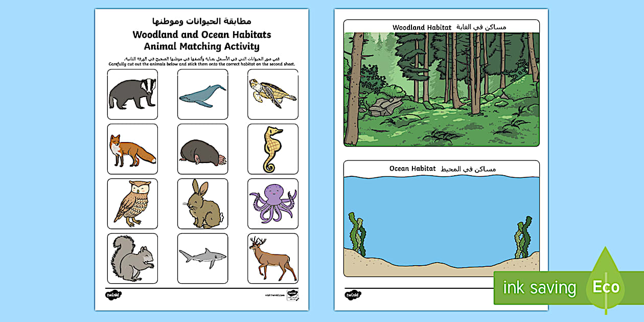 Black and White Woodland and Ocean Habitats Animal Sorting Worksheet
