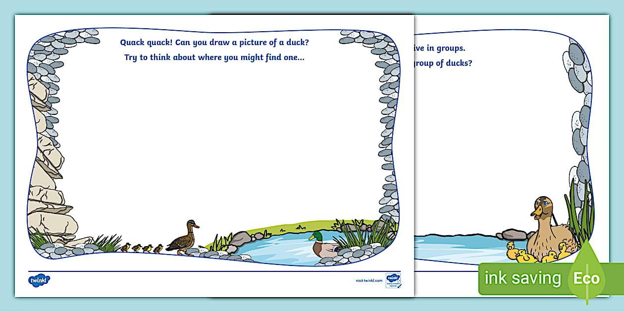 Duck Drawing Prompts (teacher made) - Twinkl