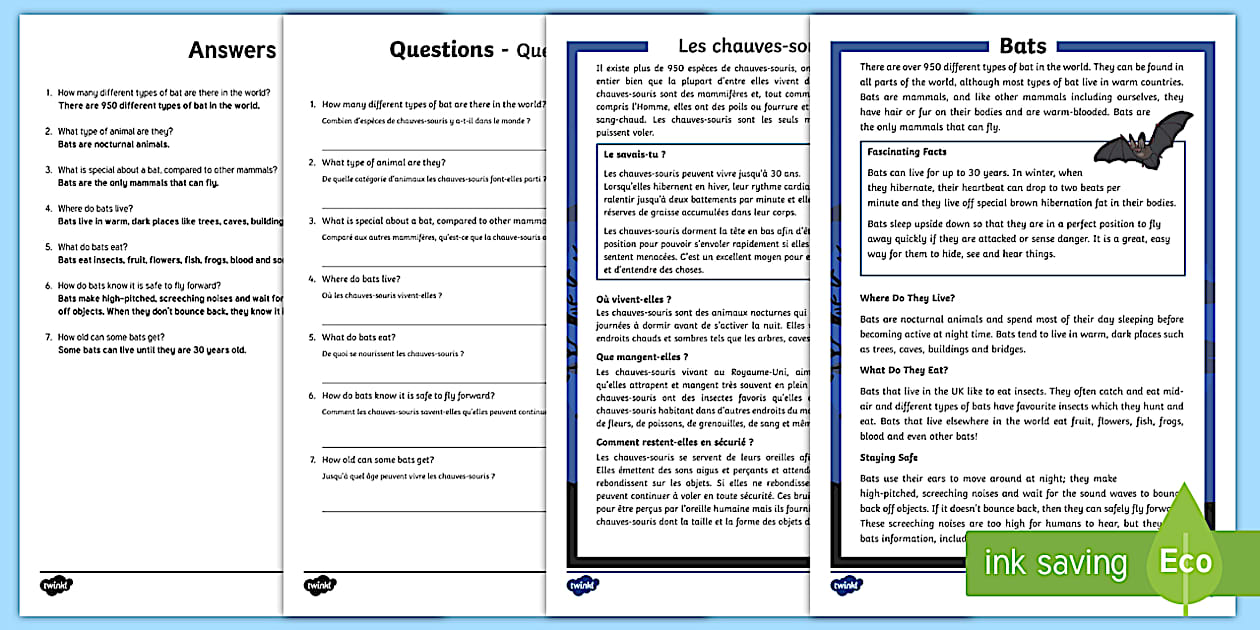 Bats Differentiated Reading Comprehension Activity English/French - Bats