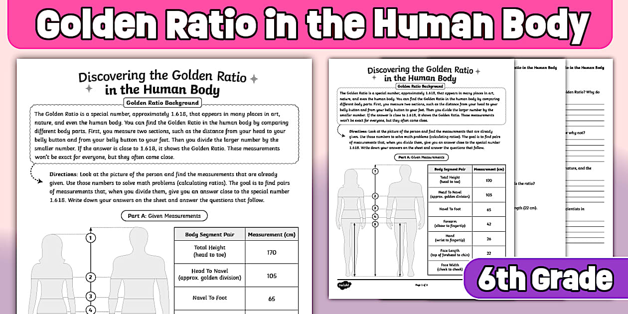 Sixth Grade Golden Ratio With Human Body Measurements