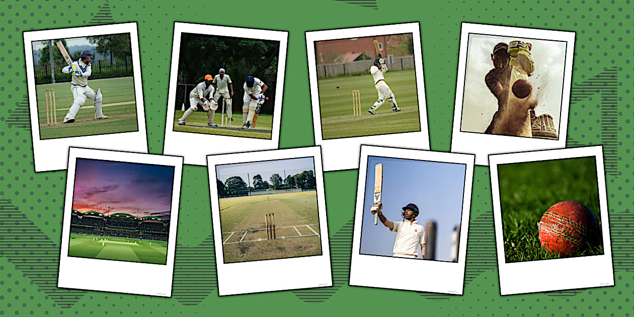 Cricket Instant Photo Style Display Images (teacher made)