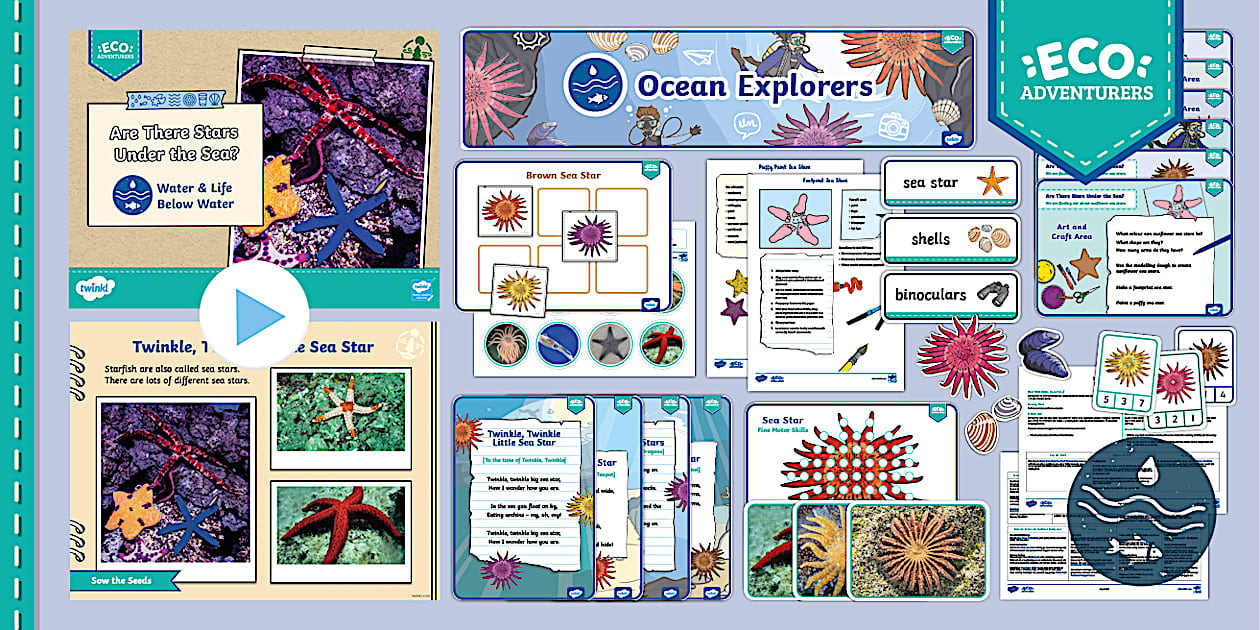 EYFS: Sunflower Sea Star - Are There Stars Under the Sea?