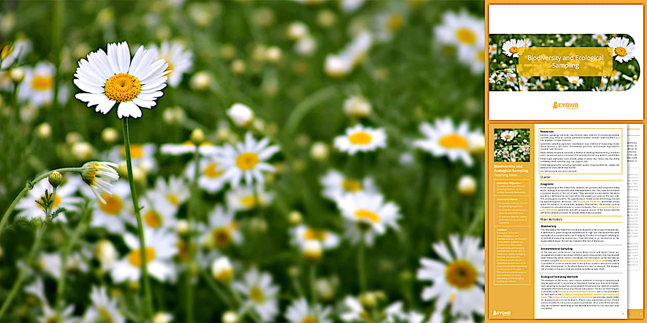 Biodiversity and Ecological Sampling Lesson | KS3 | Beyond