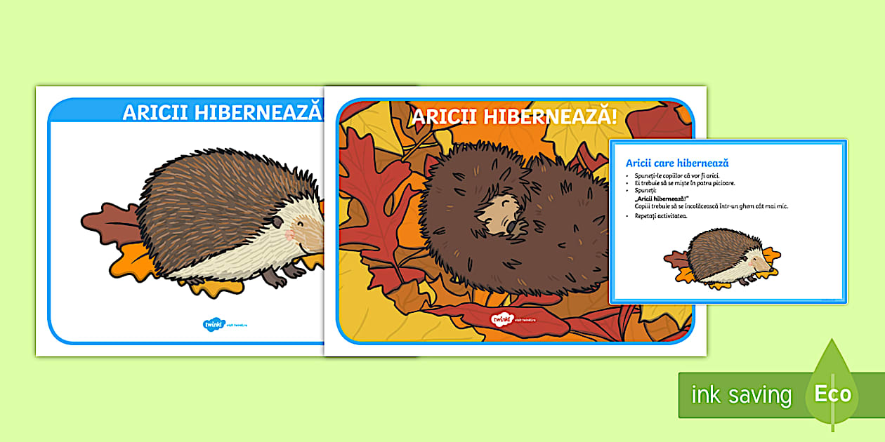 Aricii hibernează Activitate (teacher made) - Twinkl