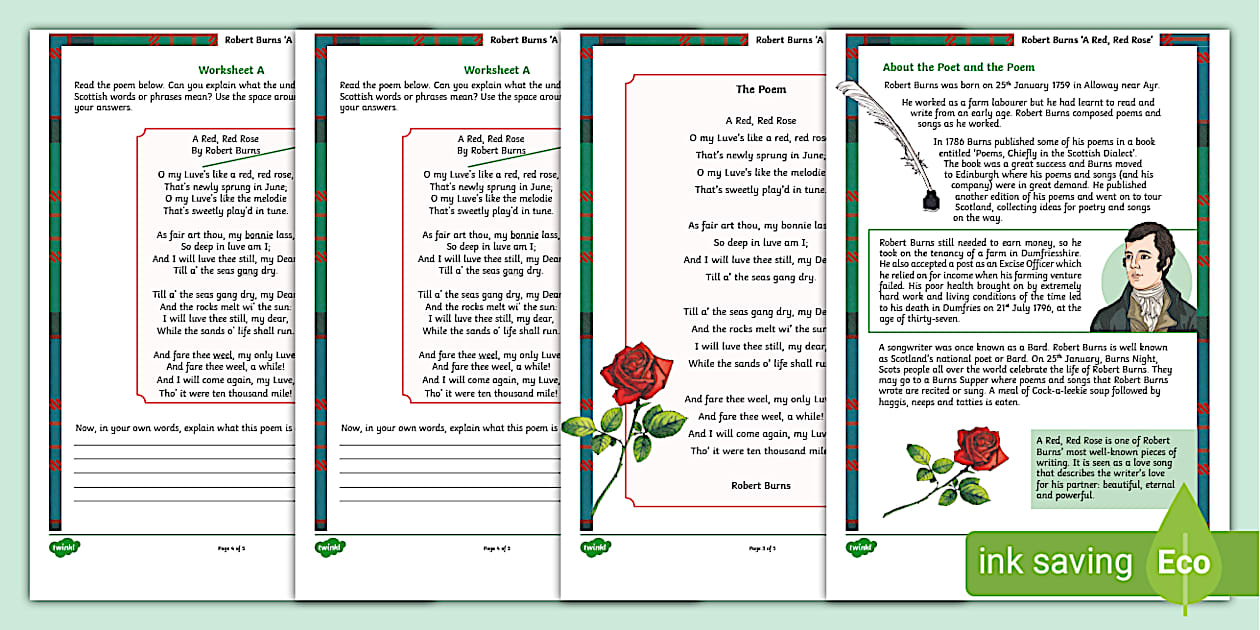 Robert Burns Poem Resource Pack | 'A Red, Red Rose' | Twinkl