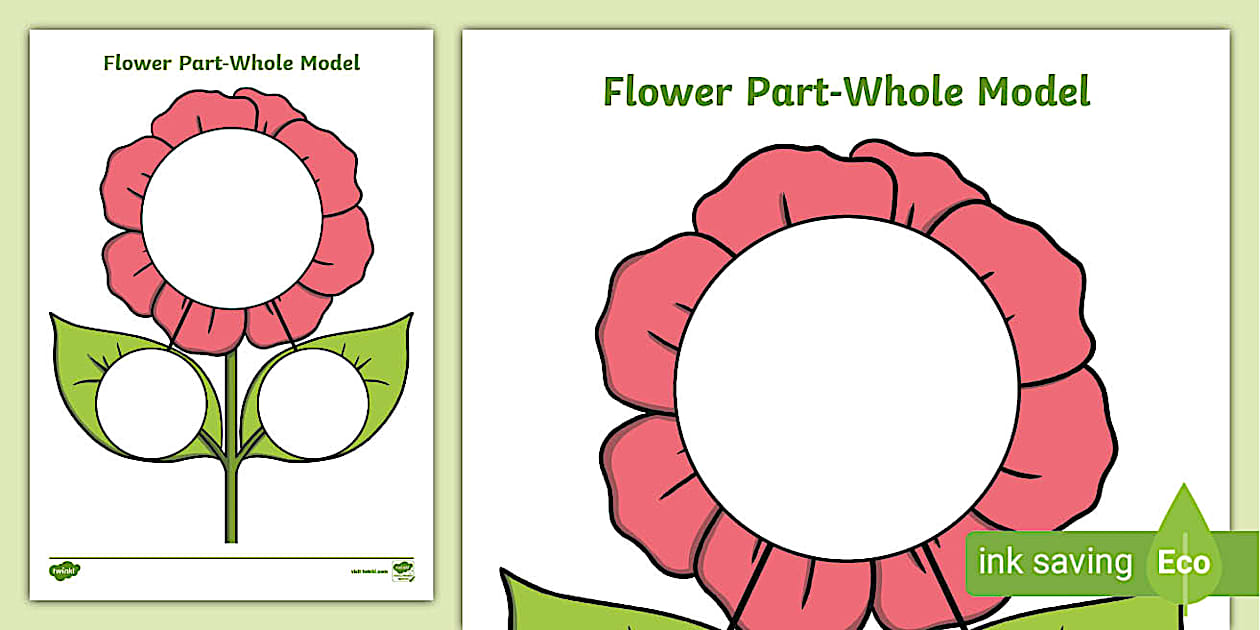 👉 Flower Part-Whole Model | Twinkl - Twinkl