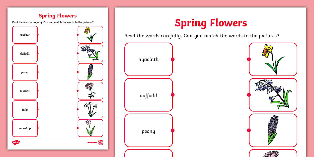 Spring Flowers Matching Worksheet (teacher made) - Twinkl