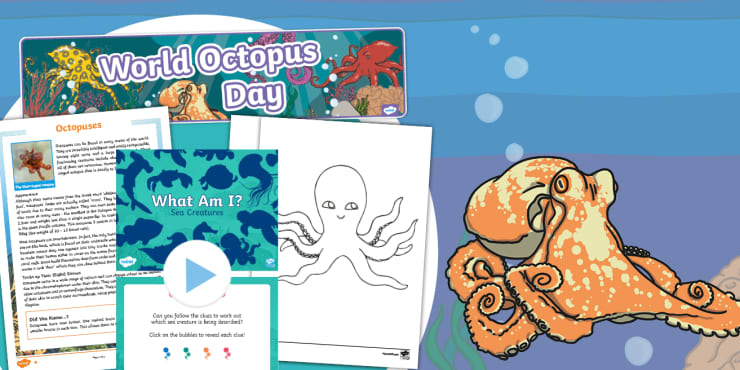 World Octopus Day – Information and Teaching Resources