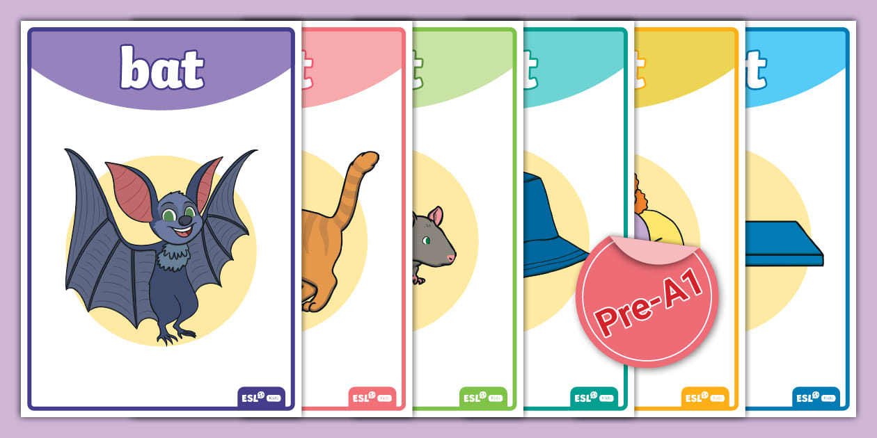 Rhyming Words '-at' Sounds for ESL (teacher made) - Twinkl