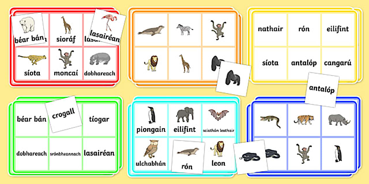 Editable An Zú Gaeilge Bingo (teacher made) - Twinkl