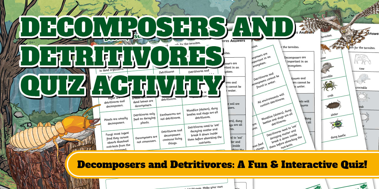 Decomposers and Detritivores Quiz Activity