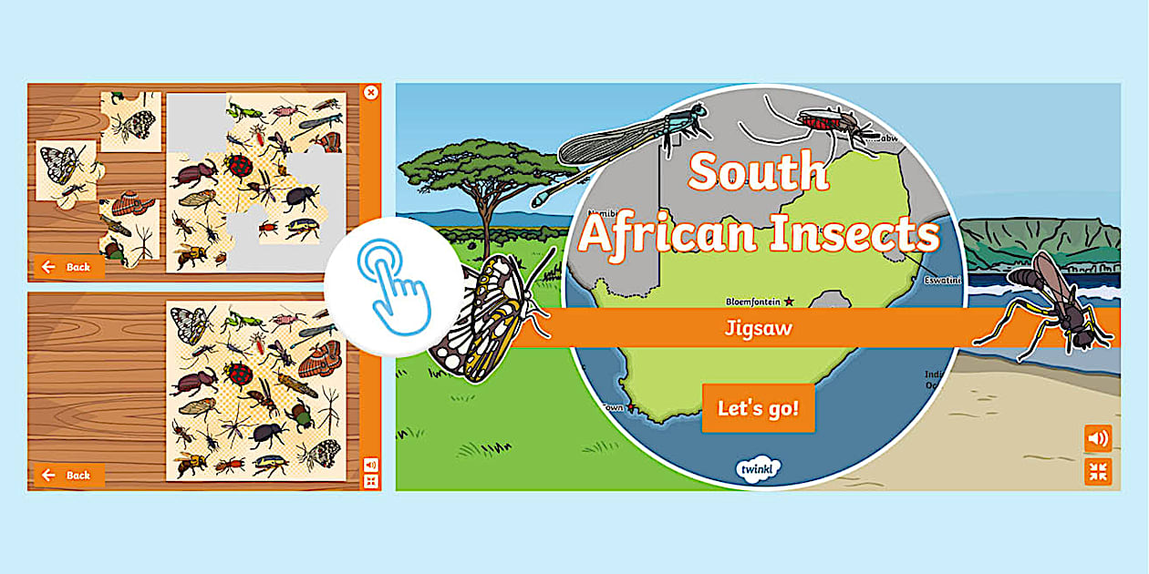 South African Insects Interactive Jigsaw Puzzle - Twinkl