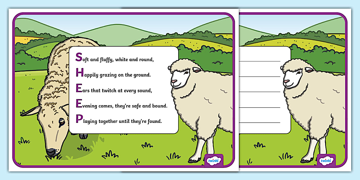 Sheep Acrostic Poem Example and Template - Twinkl