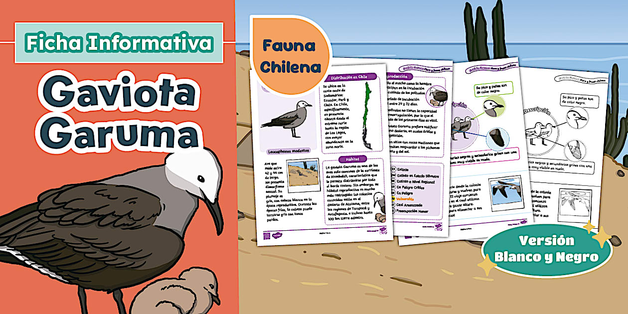 Ficha Informativa | Gaviota Garuma | Especies Endémicas