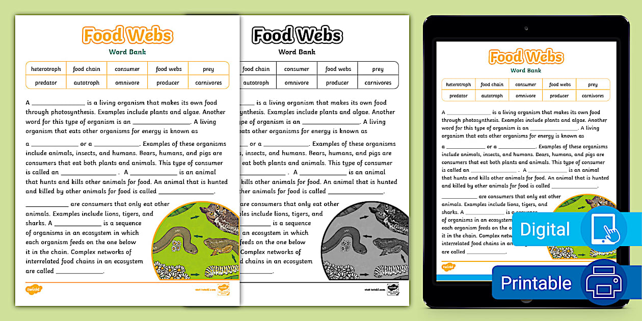 Third Grade Food Webs Cloze Reading Worksheet - Twinkl