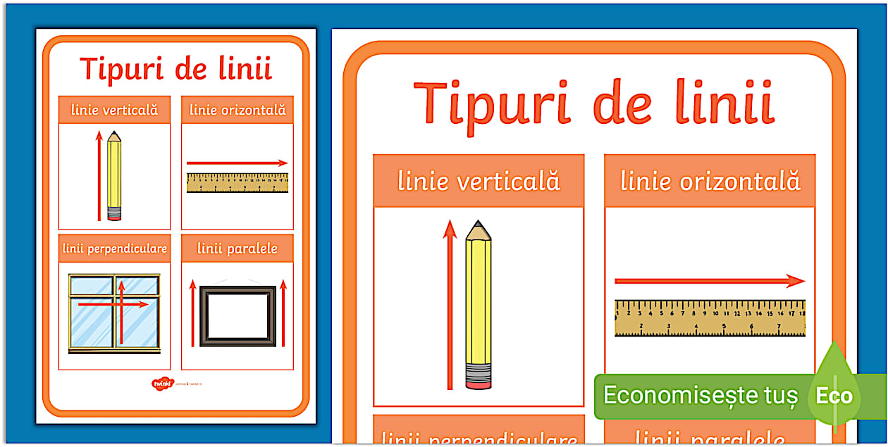 Tipuri de linii – Planșă cu diferite dimensiuni - Twinkl