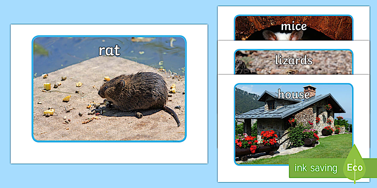 Cinderella Images | Cinderella Display Photos | Twinkl