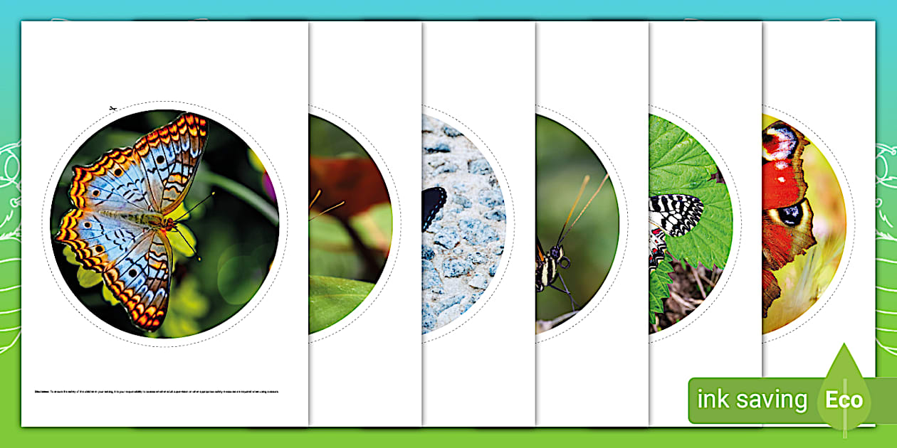 Butterfly Circle Photo Cut-Outs