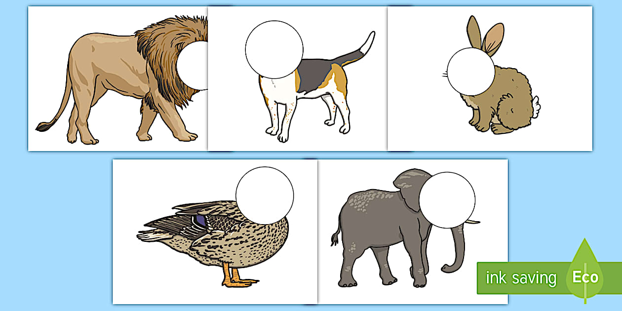 Face Editable Animals Activity - Face Editable Superheroes