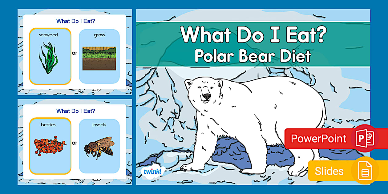 Prekindergarten Polar Bear Diet Guessing Game - Twinkl