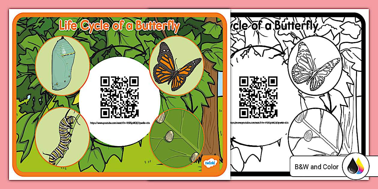 Life Cycle of a Butterfly Code Hunter (Hecho por educadores)