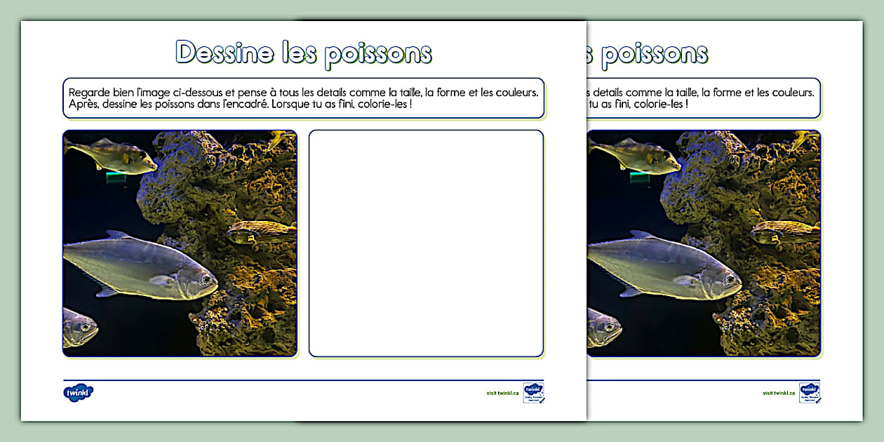Feuille d'activité : Dessine les poissons (teacher made)