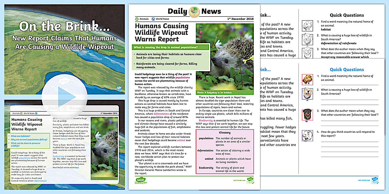 UKS2 Wildlife Wipeout Daily News Resource Pack - Twinkl