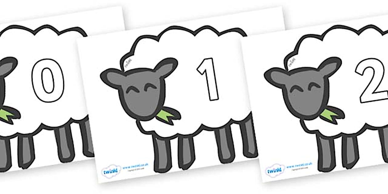 Numbers 0-50 on Sheep (teacher made) - Twinkl
