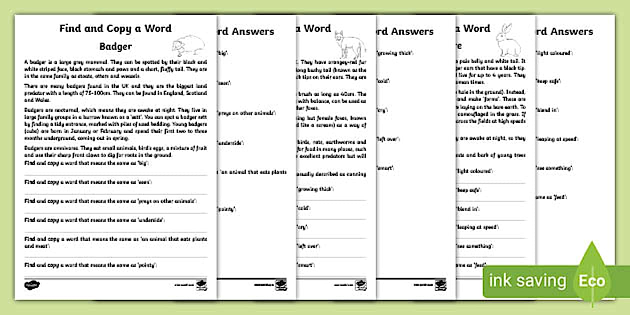 KS1 Find and Copy Word Worksheets (teacher made) - Twinkl