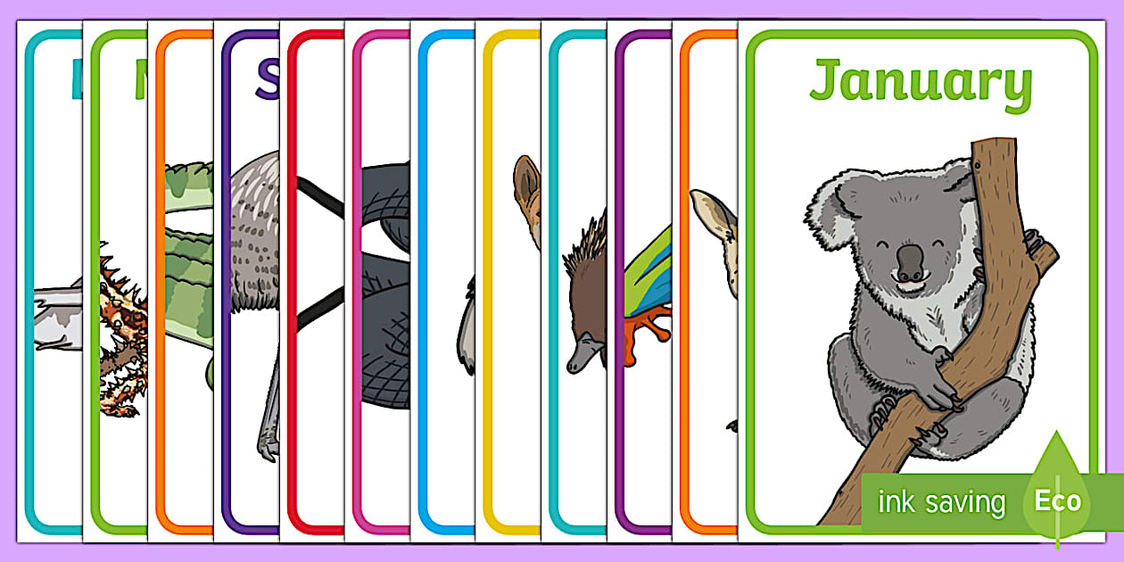 Australian Animals Birthday Display Pack (teacher made)