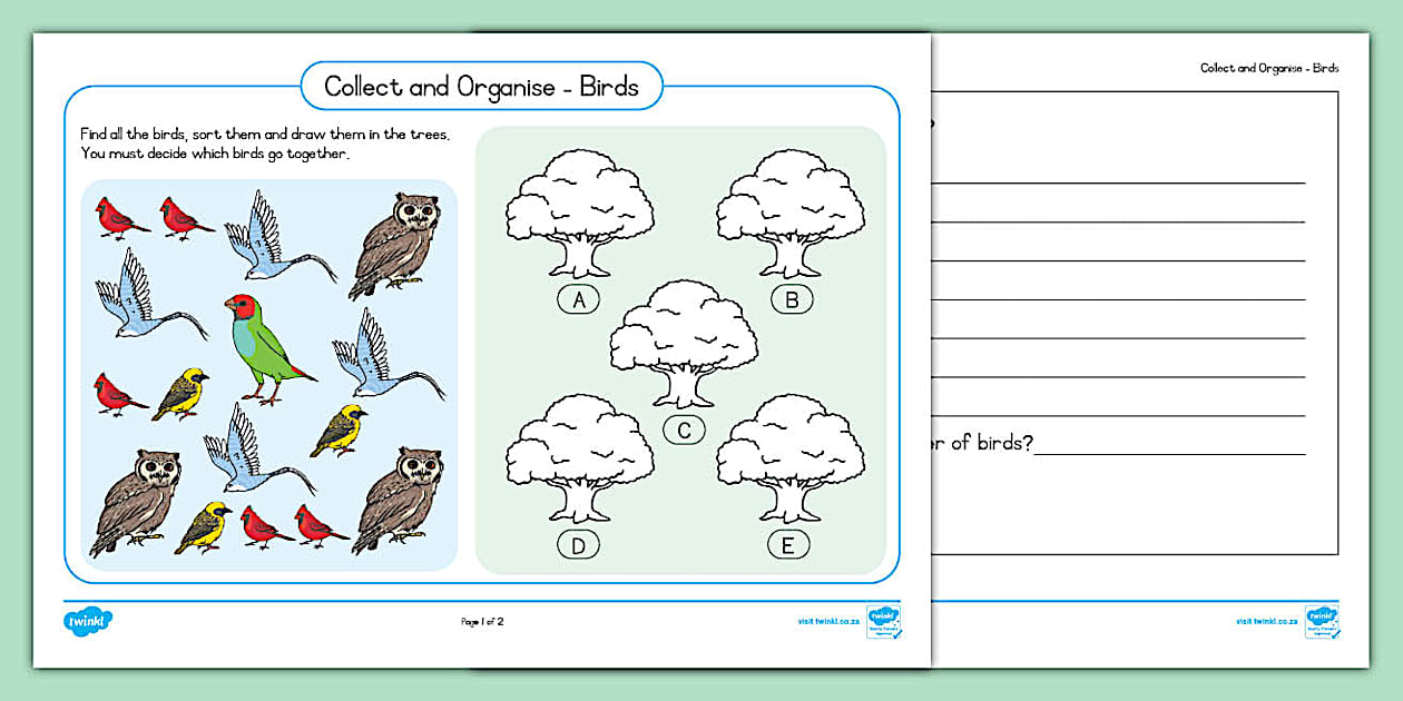 Grade 1 Maths - Data Handling - Collect and Sort - Birds