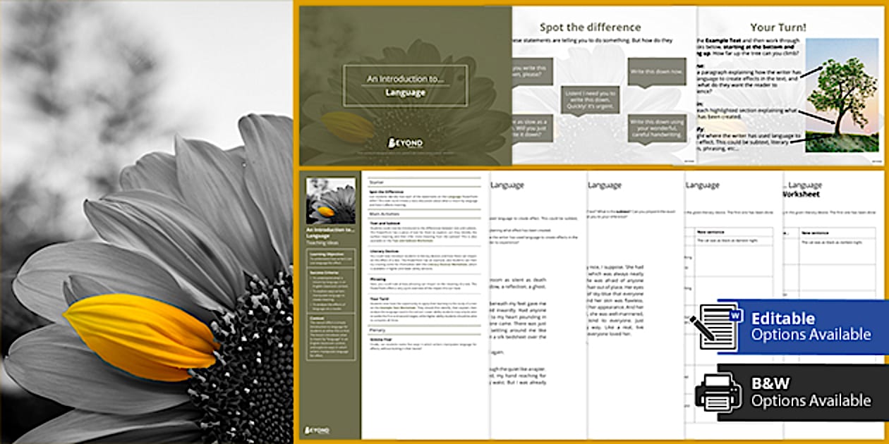 An Introduction to Language | KS3 English | Beyond Secondary