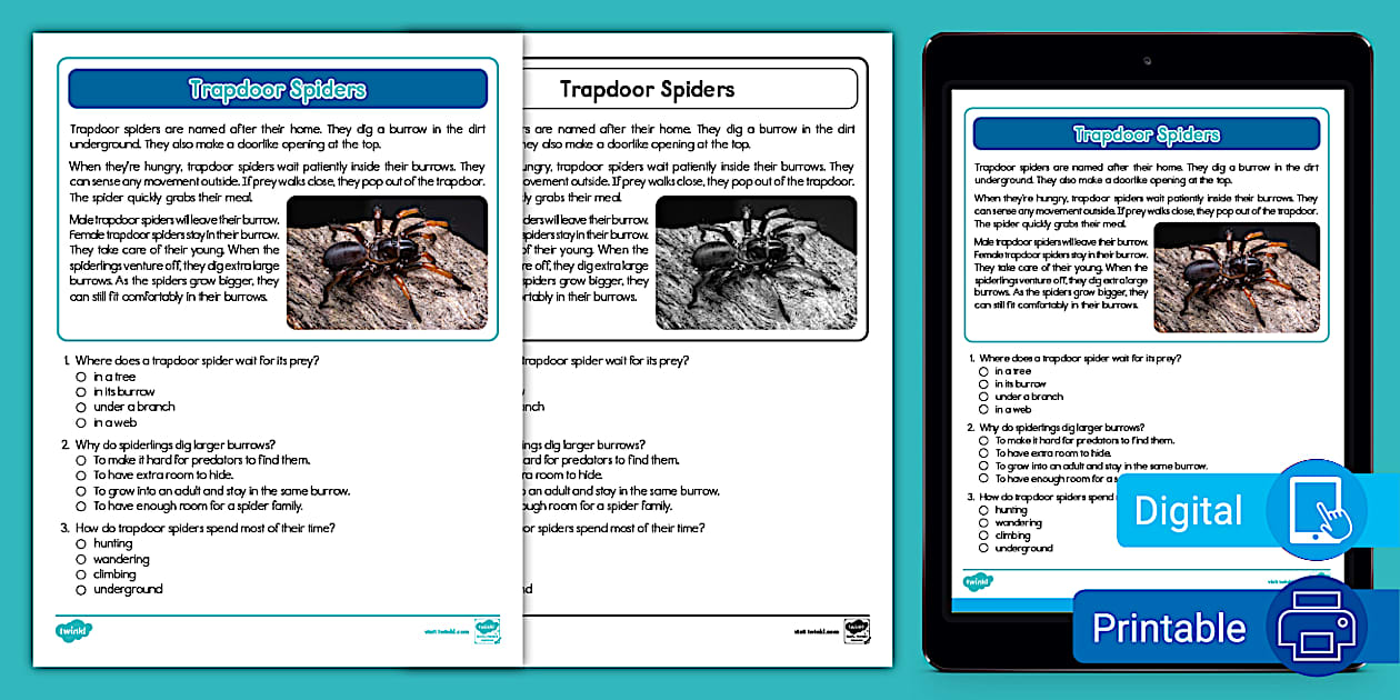 Trapdoor Spiders Reading Passage Comprehension - Twinkl