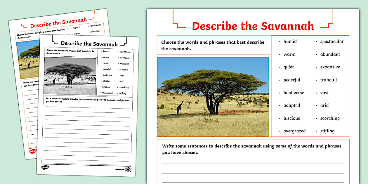 Describe the Savannah Worksheet (Teacher-Made) - Twinkl
