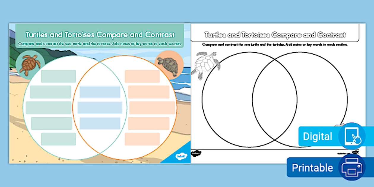Turtles and Tortoises Comparison Worksheet | Twinkl USA