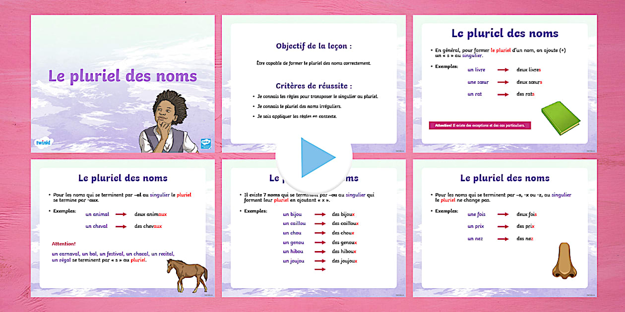 Making Nouns Plural PowerPoint French (teacher made)