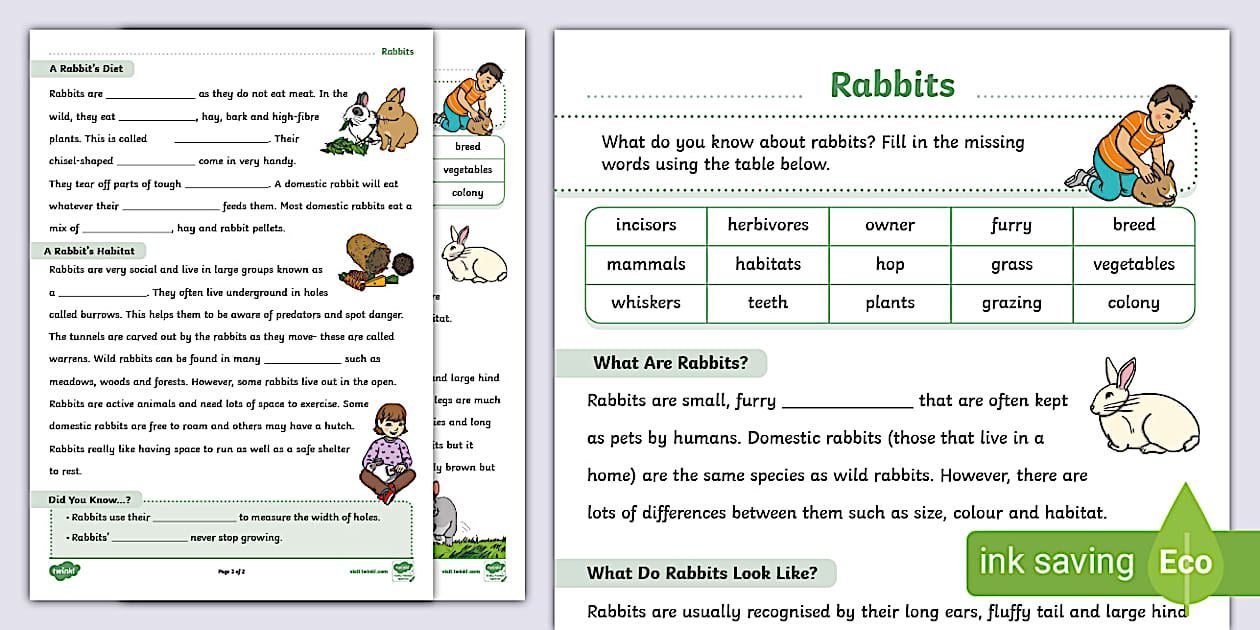Rabbits Cloze Activity (Hecho por educadores) - Twinkl