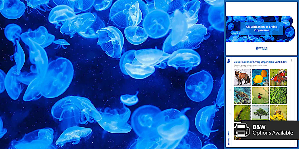 Classification of Living Organisms | Science | Beyond