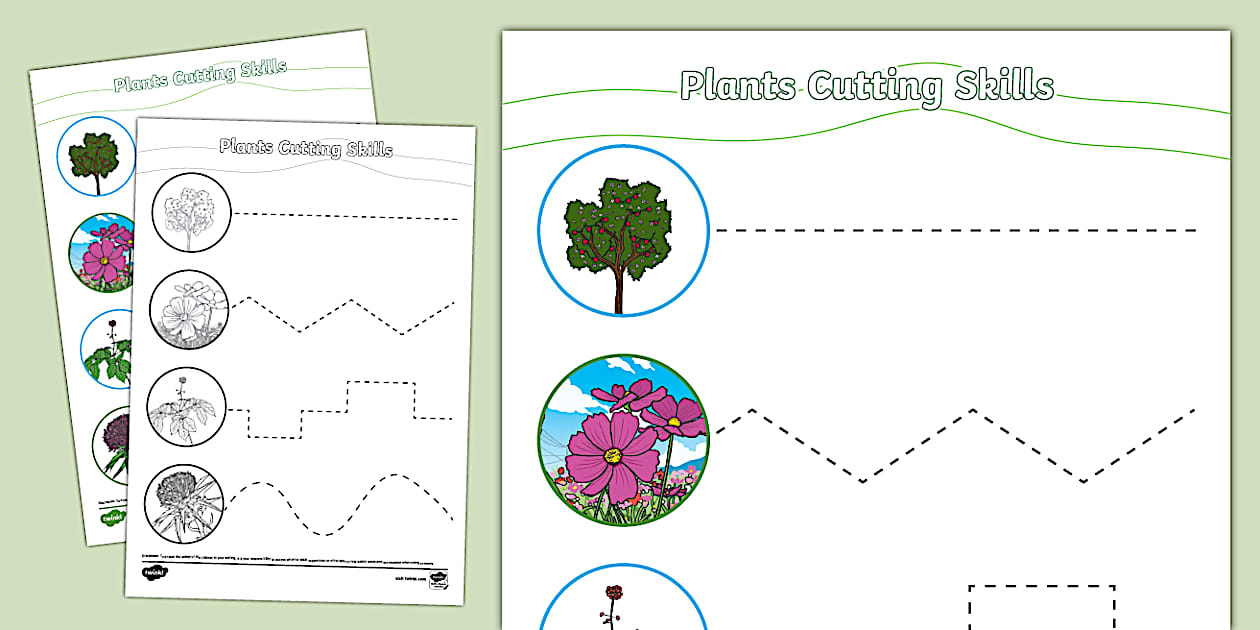 Plants Cutting Skills Worksheets (teacher made) - Twinkl